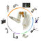 Biopsy surgical robot - neuromate® - Renishaw - electrode positioning ...