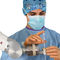 Guiding surgical robot - ROSA ONE® - Zimmer Biomet - neurosurgery