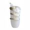 Transfemoral prosthetic socket - IN0 series - Proteor