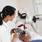 X-ray superficial radiation therapy system - XSTRAHL 200 - xstrahl ...