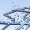 Coronary stent - BIOFREEDOM™ ULTRA - Biosensors International - cobalt ...
