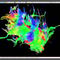 Medical imaging PACS - NovaPACS EI® - Novarad