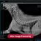 Veterinary radiology software - Vetview Pro - Rayence - management ...