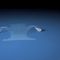 Prolapse reconstruction mesh - Direct Fix - Coloplast - cystocele ...