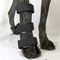 Paw veterinary splint - Front - OrthoVet - for canines
