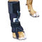 Paw veterinary splint - Front No-Knuckling - Walkin' Pets - for dogs
