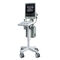 On-platform, compact ultrasound system - Flex Focus 400 exp - BK ...