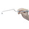 Intracranial pressure probe - MR - Transonic - flow / monitoring / surgery