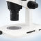 Optical stereo microscope - SZX10 - Evident - Olympus Scientific ...