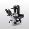 Inverted microscope - CKX53 - Evident - Olympus Scientific Solutions - optical / laboratory ...
