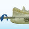 Mandibular distractor - Logic ™ - Acumed - internal / adult