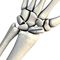 Calcaneus compression bone screw - Acutrak 2 - Acumed - hand / headless ...