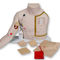 Intravenous catheterization simulator - Chester Chest™ - VATA, Inc ...