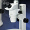 Optical stereo microscope - SMZ745 - Nikon Instruments - laboratory ...