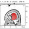 EEG software - LabX - Advanced Brain Monitoring - analysis / for tablet PC