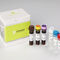 Cervical cancer test kit - PNAM-1001 - Panagene Inc. - for genotyping / HPV