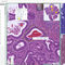 Histopathology laboratory software - Aperio eSlide Manager - Leica ...