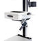 Video dermatoscope - bodystudio ATBM® master - FotoFinder Systems ...
