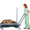 Veterinary examination table - Versa-Lift - Olympic Veterinary ...