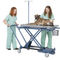 Veterinary examination table - Versa-Lift - Olympic Veterinary ...