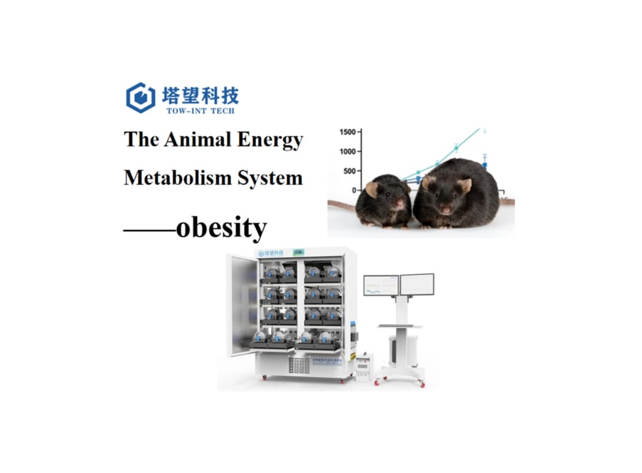Application of Animal Energy Metabolism System in the Study of Obesity ...