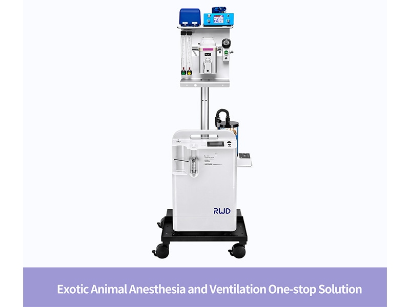 RWD Animal Research Anesthesia Machine is your best choice - Shenzhen ...