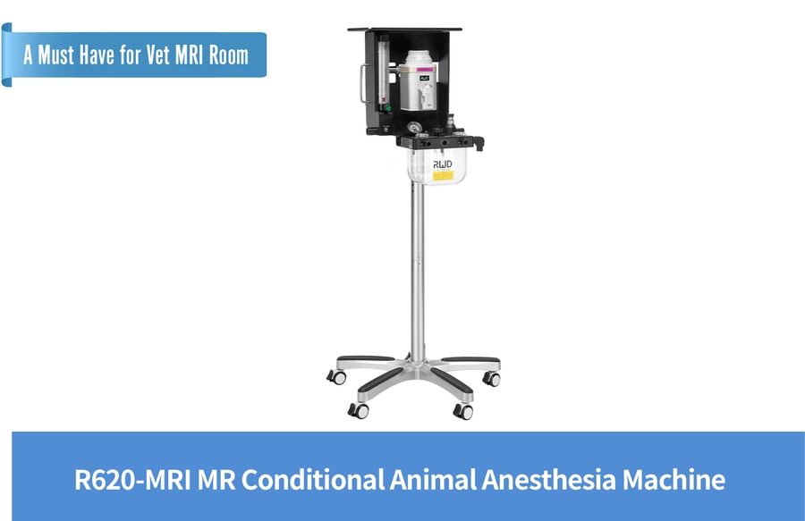 RWD Animal Research Anesthesia Machine is your best choice - Shenzhen ...