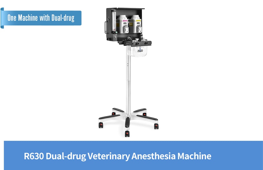 RWD Animal Research Anesthesia Machine is your best choice - Shenzhen ...