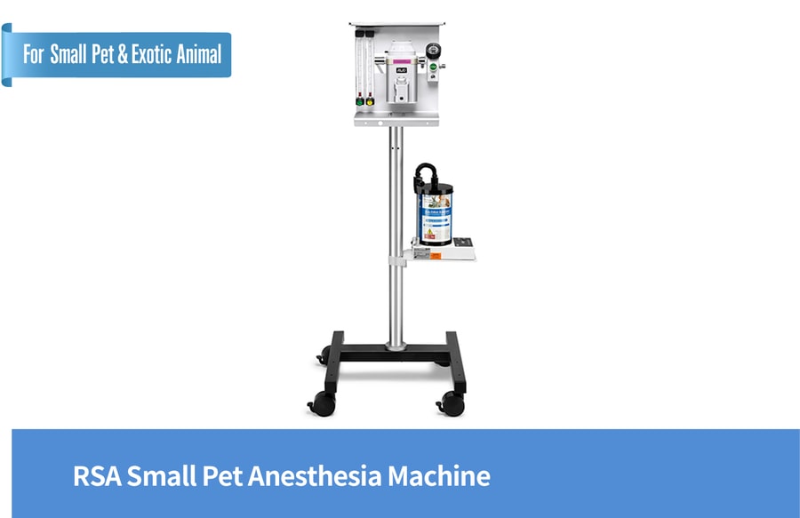RWD Animal Research Anesthesia Machine is your best choice - Shenzhen ...