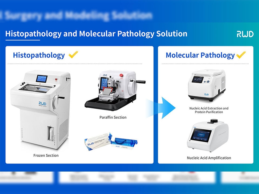 RWD Committed to Improving Life Quality in 20 Years of Self-innovation ...