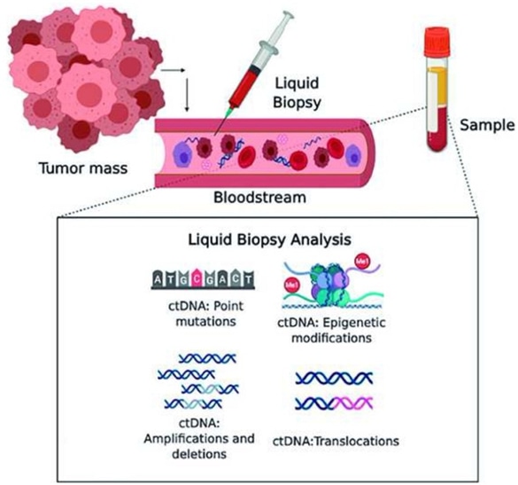 What are liquid biopsy techniques? - Xi Zhou Lu, Tong An Qu, Xia Men ...