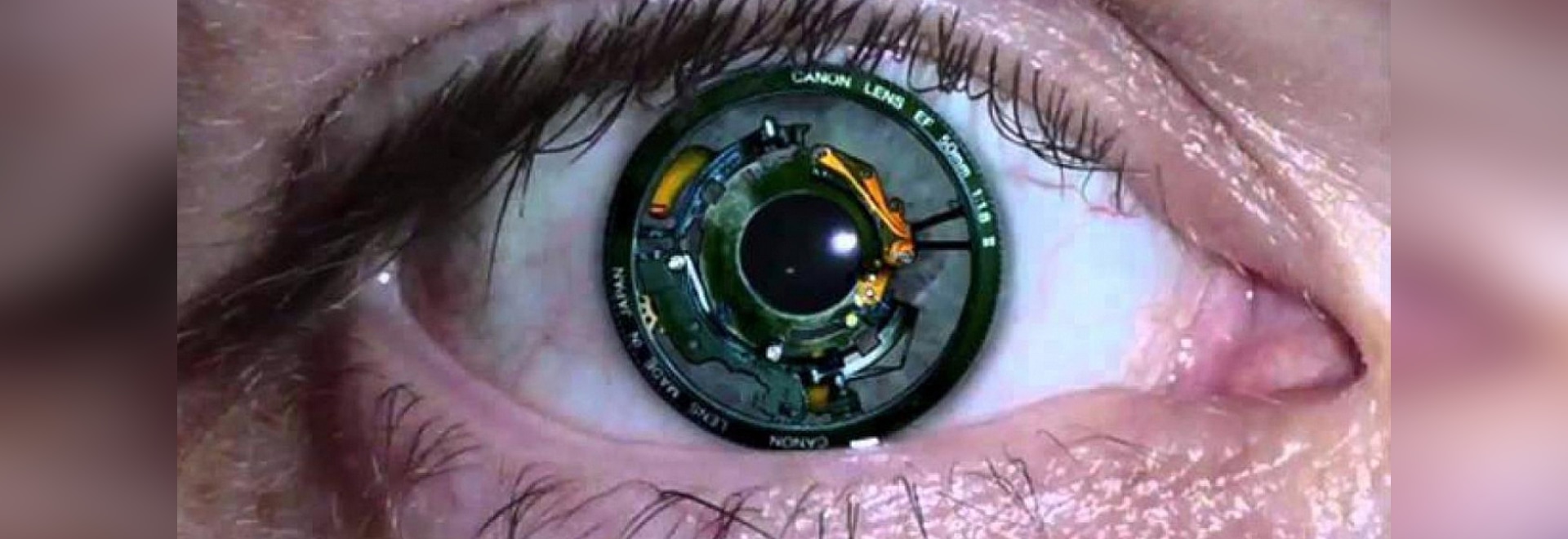 The Future for Bionic Eyes - 17 Avenue André Roussin, 13016 Marseille ...