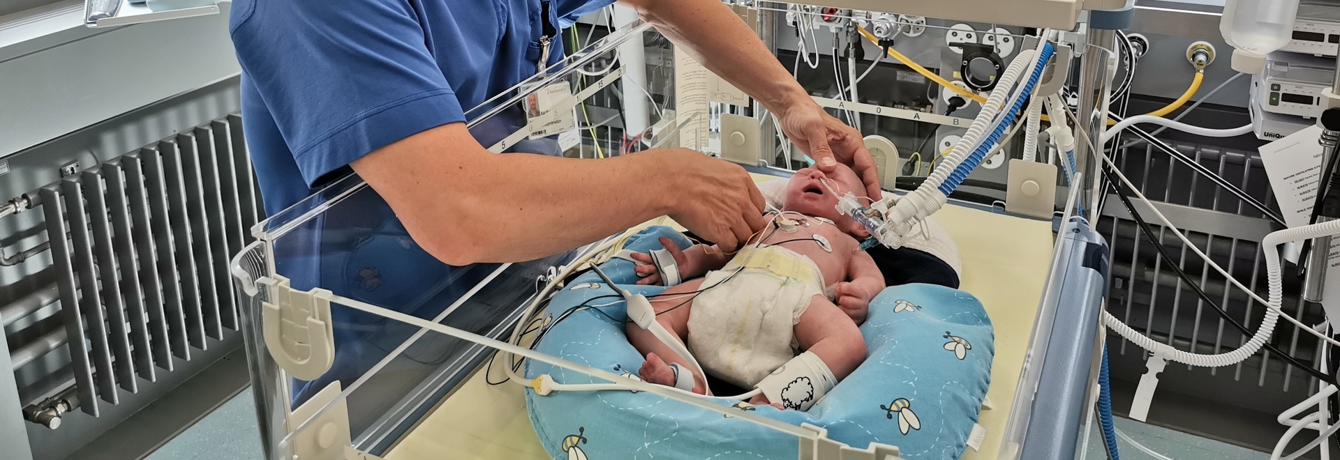 Autonomous lung simulators for mechanical ventilation training in ...