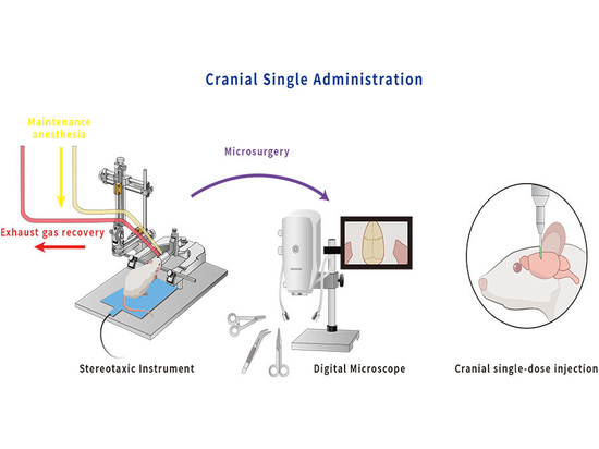 RWD Life Science company News and Trends items
