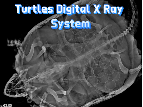 Product Trends - New products and trends in the medical sector - Page 17