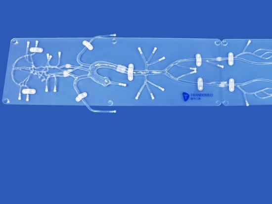 Transcatheter Aortic Valve Replacement (TAVR): Revolutionizing Heart ...