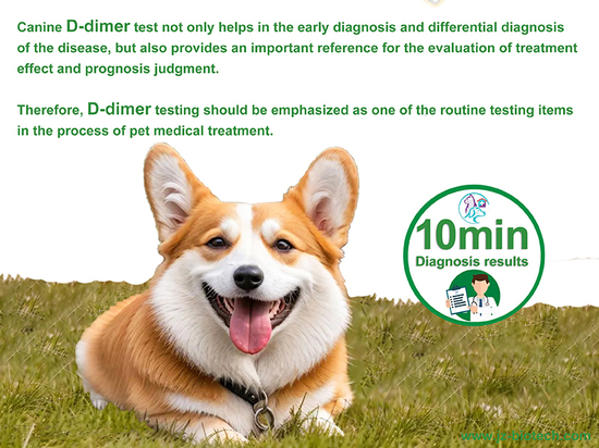 Veterinary medicine - Product Trends - New products and trends in the ...