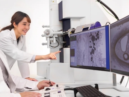 Your Questions Answered: Optimizing SEM Sample Preparation with Broad ...
