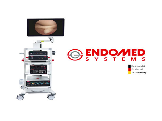 EndoMed Systems - Vision you can rely on - Schubertstraße 31, 88214 ...