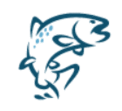Animal research data logger - DST milli-HRT ACT - Star-Oddi ...