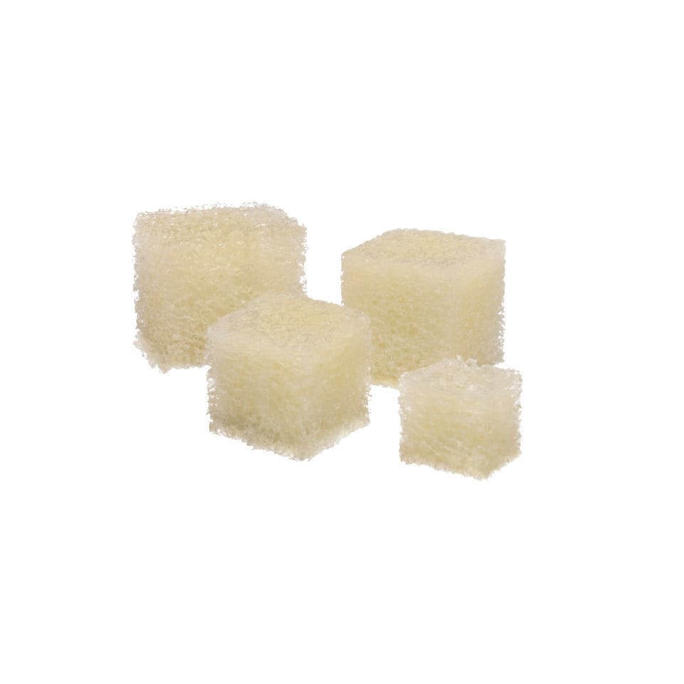 同種移植代用骨 - SteriSorb® - Bone Bank Allografts - 整形外科手術 / 硬質