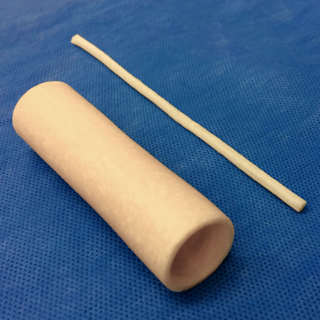 循環系の解剖模型 - 01 series - LifeLike BioTissue Inc. - 心臓手術用 / 医療訓練用 / 縫合