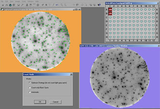 分析ソフト - QHub - Neuromics - 定量化用 / 細胞構造画像 / 研究用
