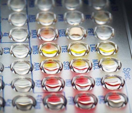 抗生物質感受テスト用検査キット - MicroScan - Beckman Coulter - アスパラギン酸アミノトランスフェラーゼ / 肺炎桿菌 / 研究所用