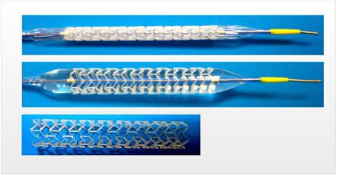 冠状動脈ステント - Amaranth FORTITUDE™ - Amaranth Medical - ポリマー製 / 生体吸収性