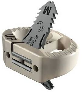 腰椎椎体間ケージ - ROI-A® - LDR Medical - 前方進入 / PEEK製