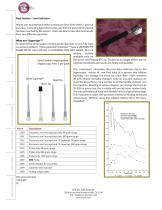 Electronic von Frey Anesthesiometer - IITC Life Science - PDF Catalogs ...