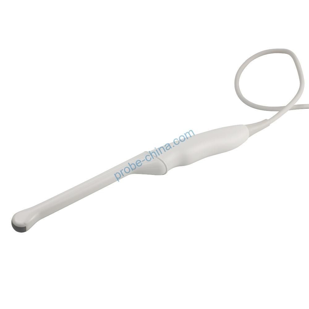 Transdutor de ultrassom endocavitário - Shenzhen Shenchao Transducer