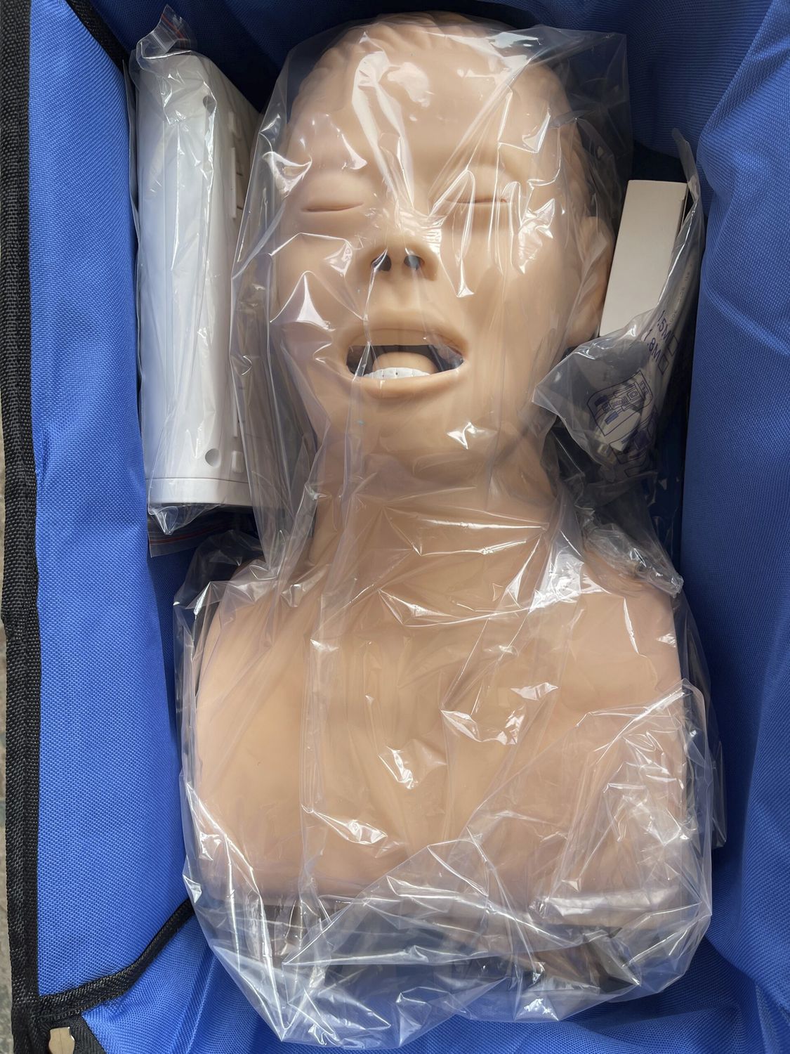Simulador para treinamento - DART Sim ECG Simulator - de intubação / de ...