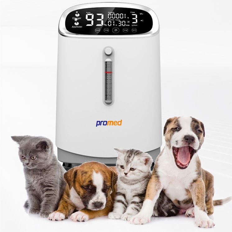 Concentrador de oxigênio veterinário - KSY-5 VET - Promed Technology - portátil